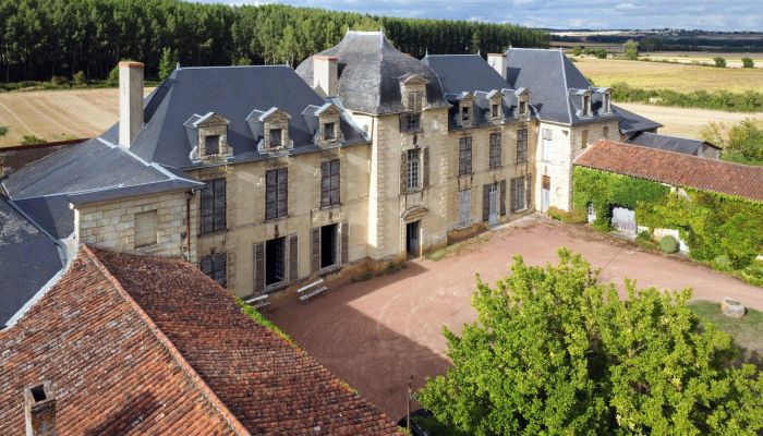 Château in New Aquitaine, first-class architecture, 26 hectares